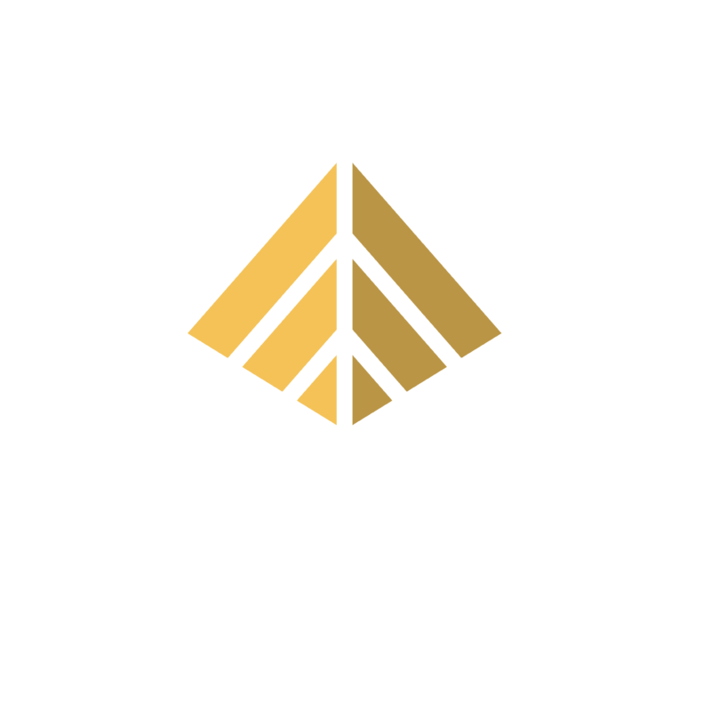 Home | Pyramidia Ventures