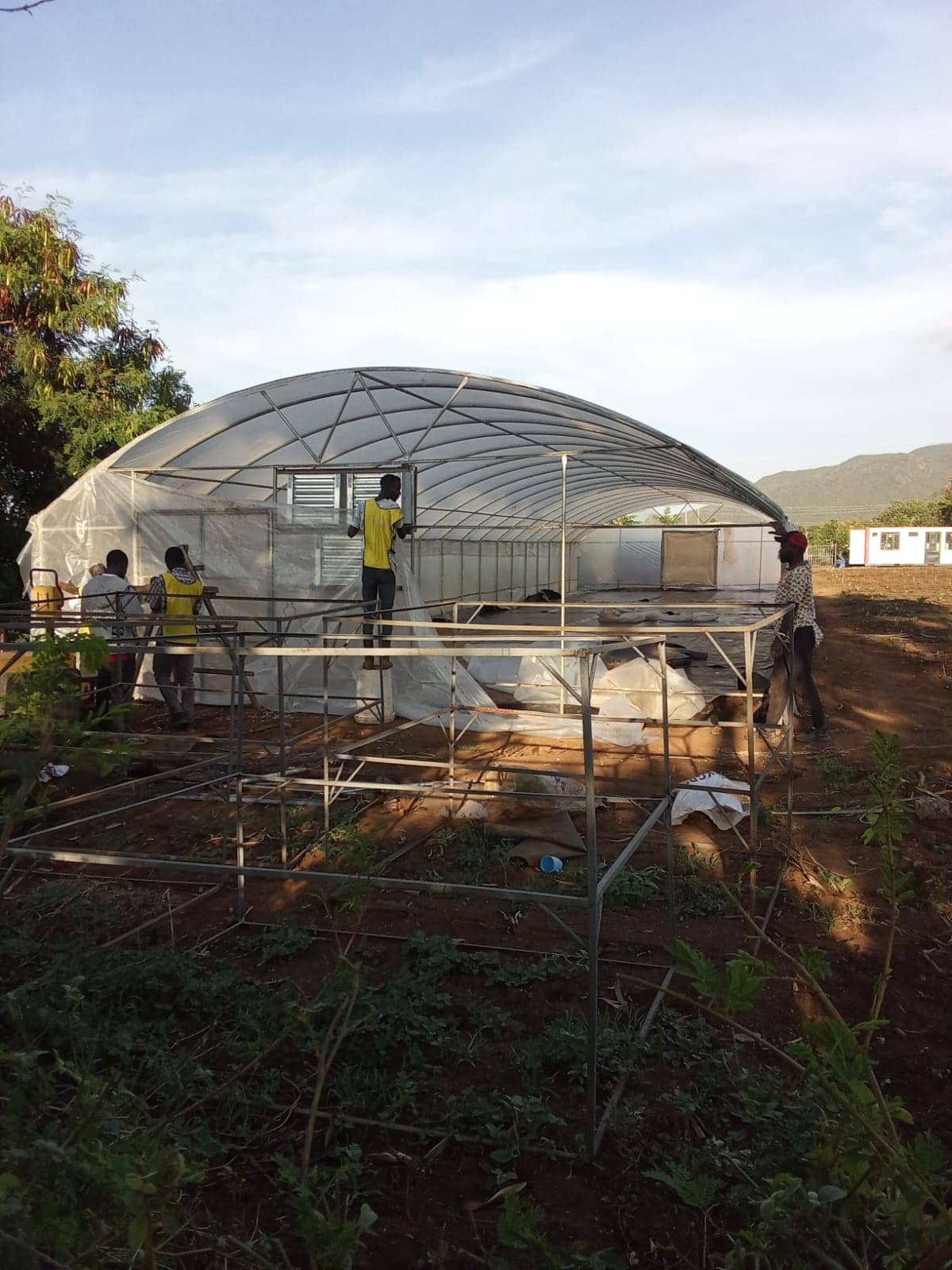 About Pyramidia - Building Sustainable Agrifood Ventures in Africa
