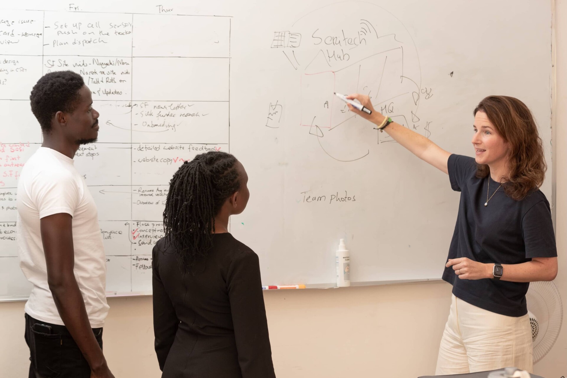 Pyramidia Team - 40+ Years of Agrifood Expertise in Africa